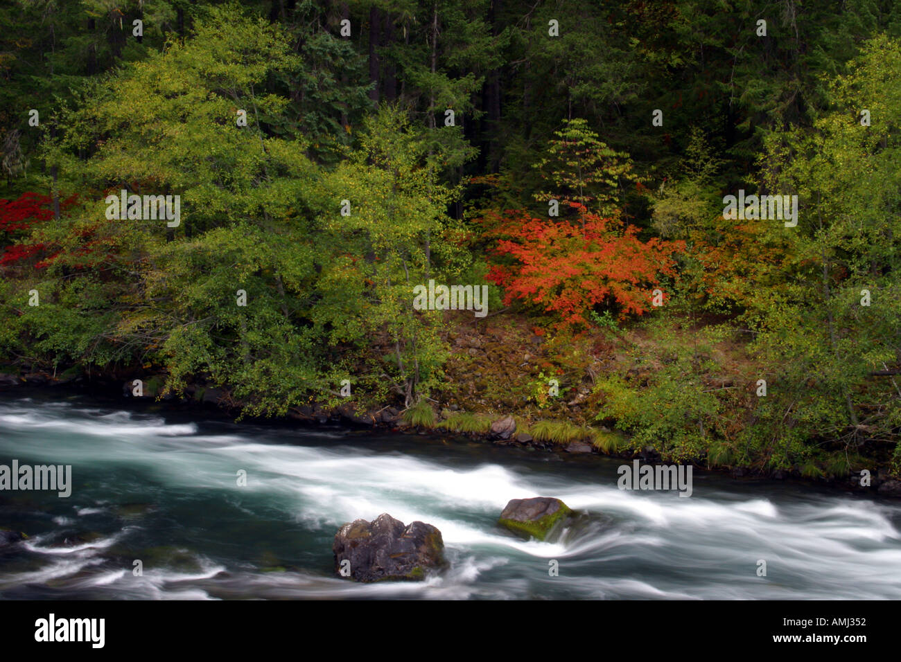 Fall color along the Rogue River in Oregon Stock Photo - Alamy