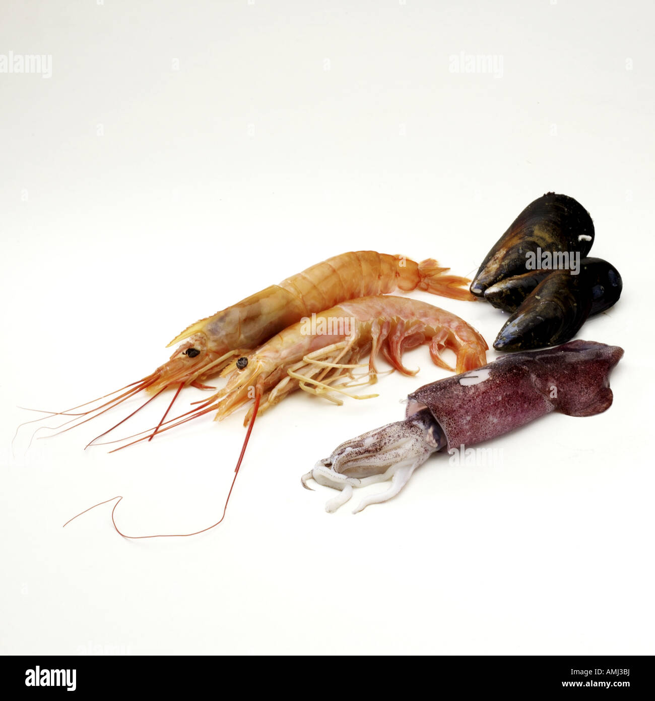 Fresh seafood raw shrimps squids hi-res stock photography and images ...