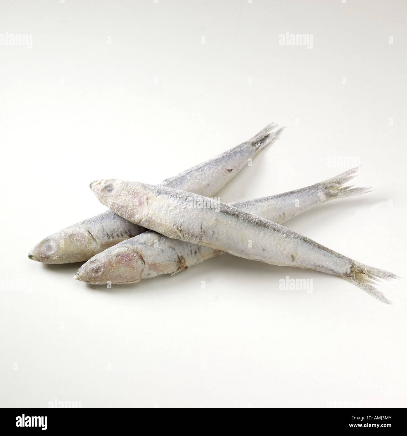 Whitebait cutout hi-res stock photography and images - Alamy