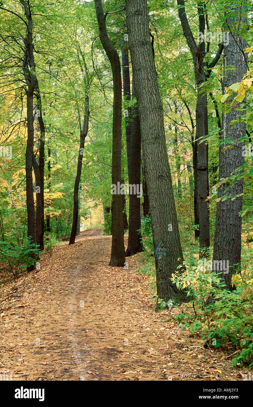 Path in Woods, High Park, Toronto, Ontario, Canada Stock Photo - Alamy