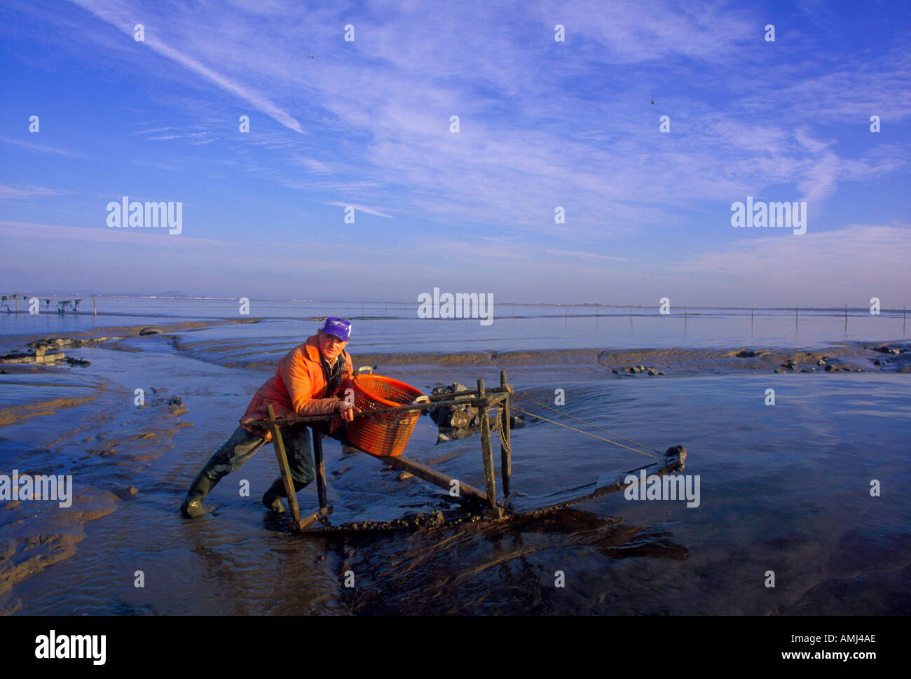 Mud horse hi-res stock photography and images - Alamy