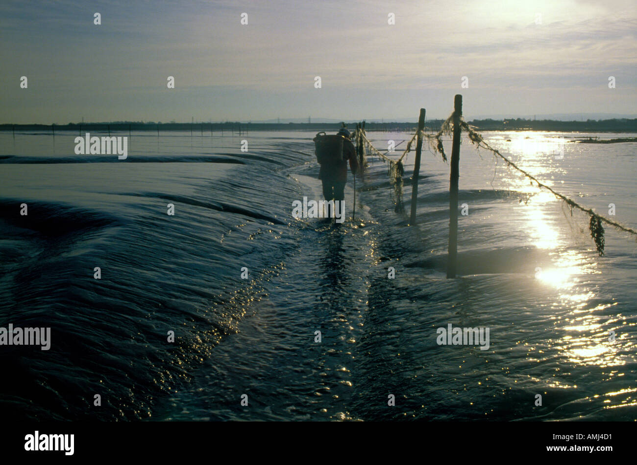 Brendan Sellick the last mud fisherman on his mud horse, out in the ...