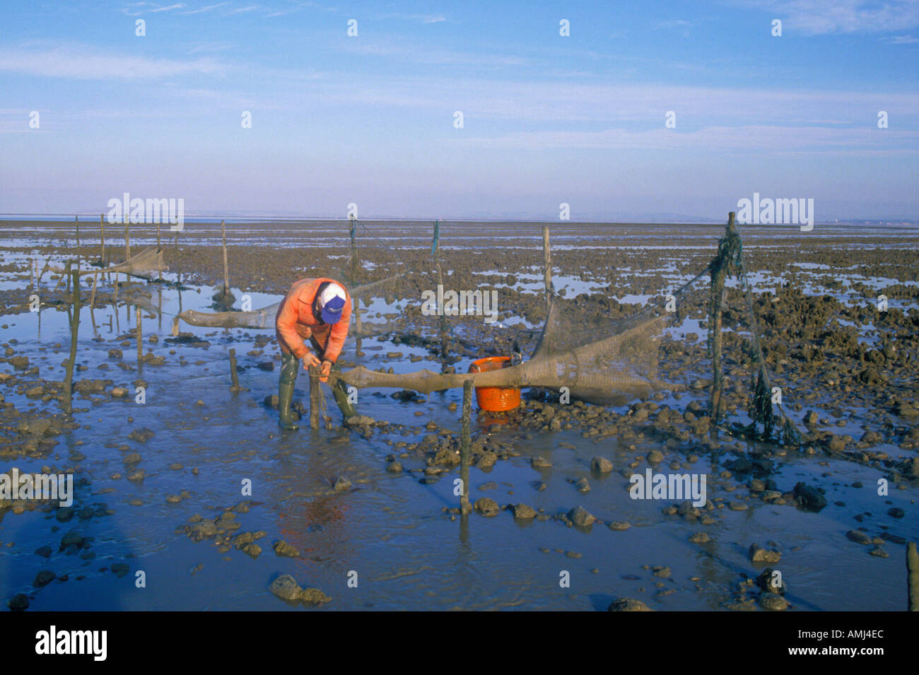 Brendan Sellick the last mud fisherman on his mud horse, out in the ...