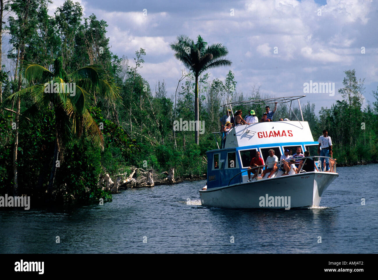 Kuba, Matanzas, Nationalpark Zapata, Guama, Krokodilfarm Stock Photo ...