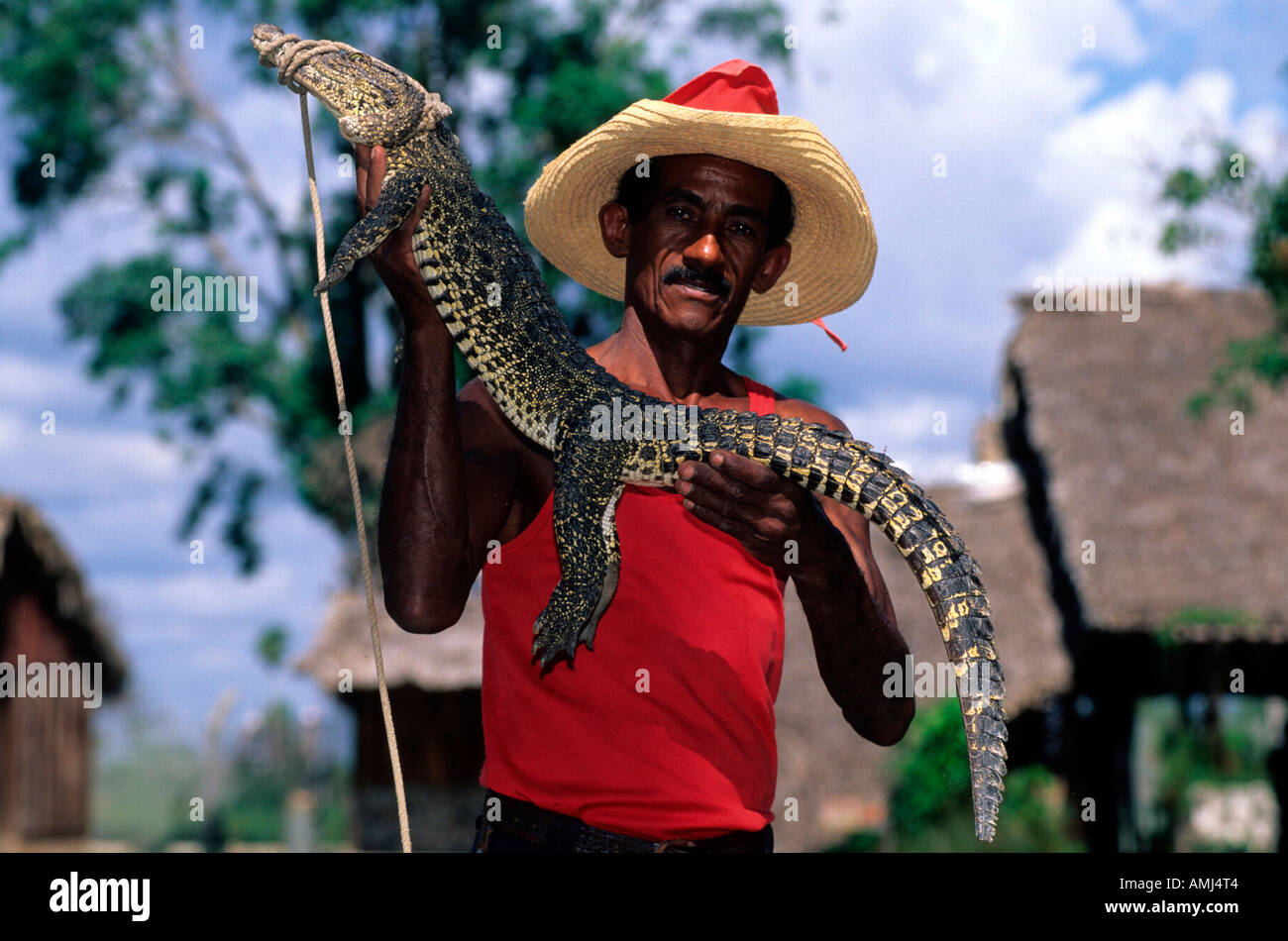 Kuba, Matanzas, Nationalpark Zapata, Guama, Krokodilfarm Stock Photo ...