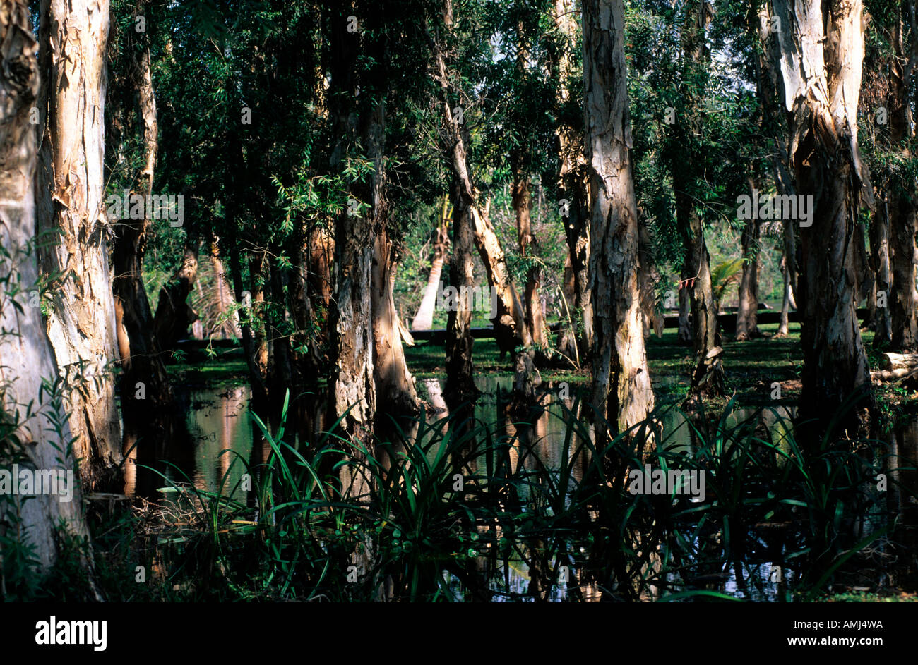 Kuba, Matanzas, Nationalpark Zapata, Guama, Schatzlagune, Laguna del ...