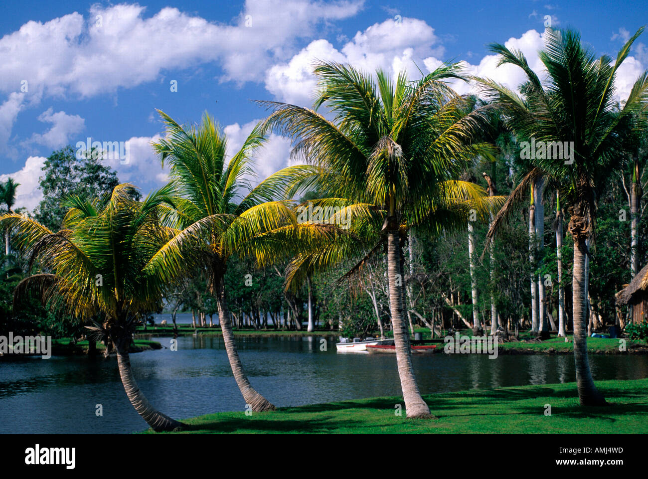 Kuba, Matanzas, Nationalpark Zapata, Guama, Schatzlagune, Laguna del ...