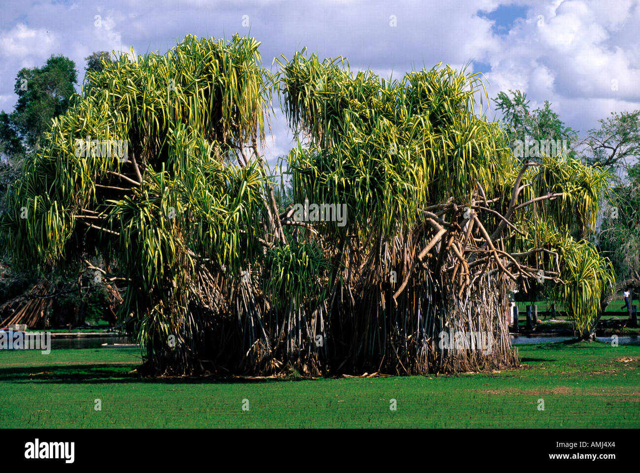 Kuba, Matanzas, Nationalpark Zapata, Guama, Schatzlagune, Laguna del ...