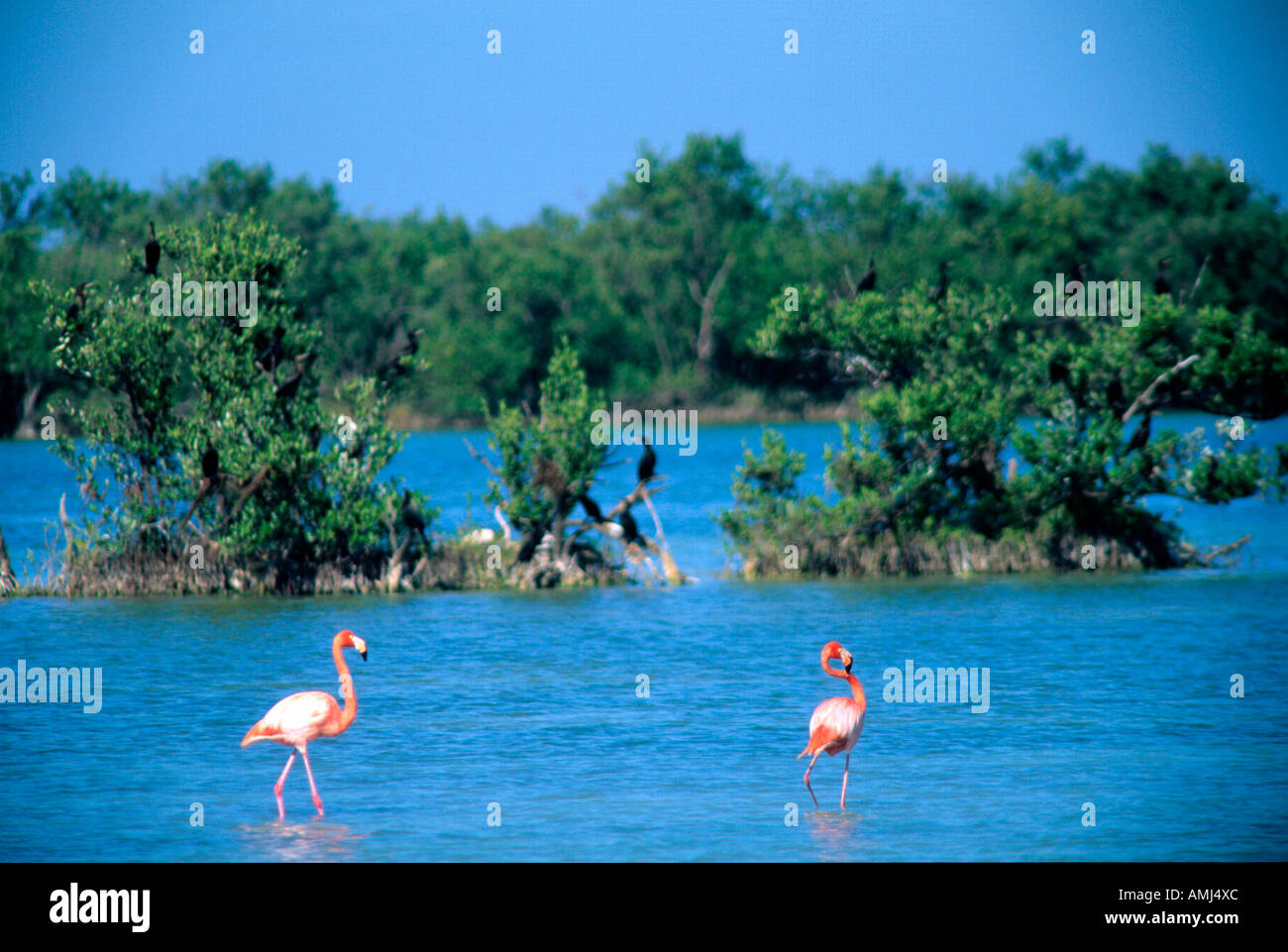 Kuba, Matanzas, Nationalpark Zapata, Guama, Schatzlagune, Laguna del ...