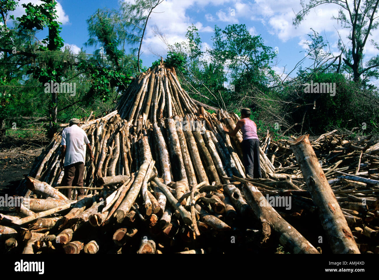 Kuba, Matanzas, Nationalpark Zapata, Guama, Köhler Stock Photo - Alamy