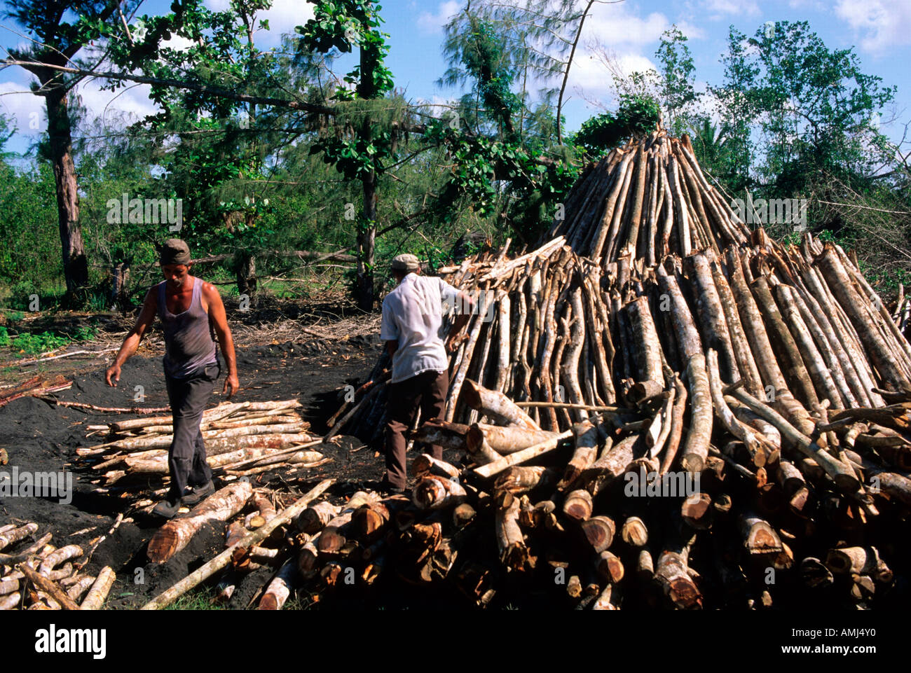 Kuba, Matanzas, Nationalpark Zapata, Guama, Köhler Stock Photo - Alamy