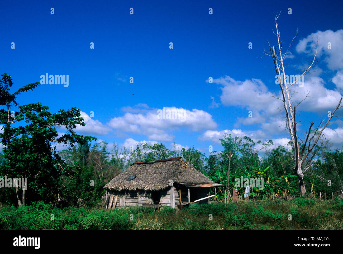 Kuba, Matanzas, Nationalpark Zapata, Guama, Köhler Stock Photo - Alamy
