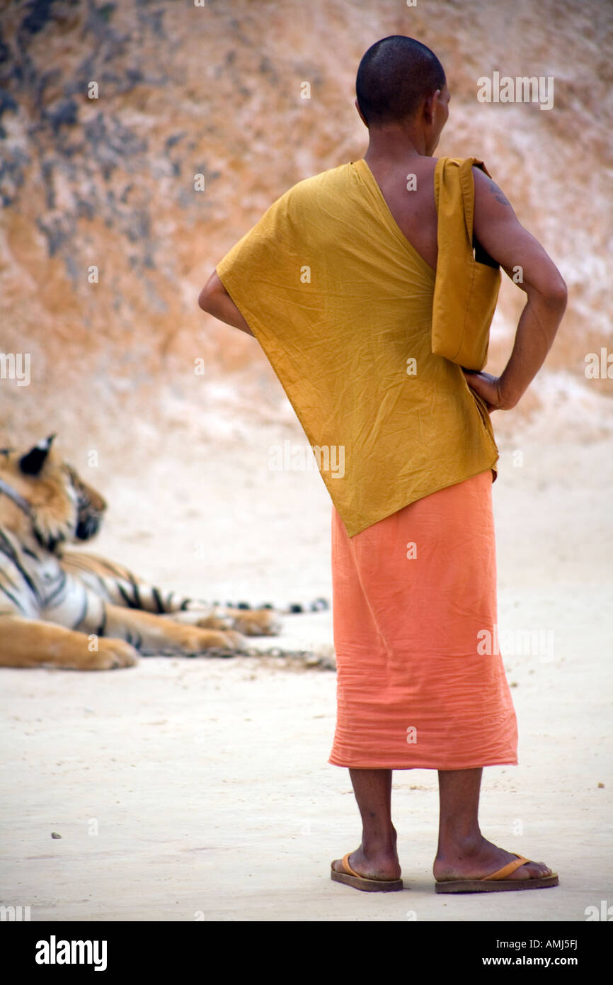 Monk at the Tiger Temple in Kanchanaburi Stock Photo - Alamy