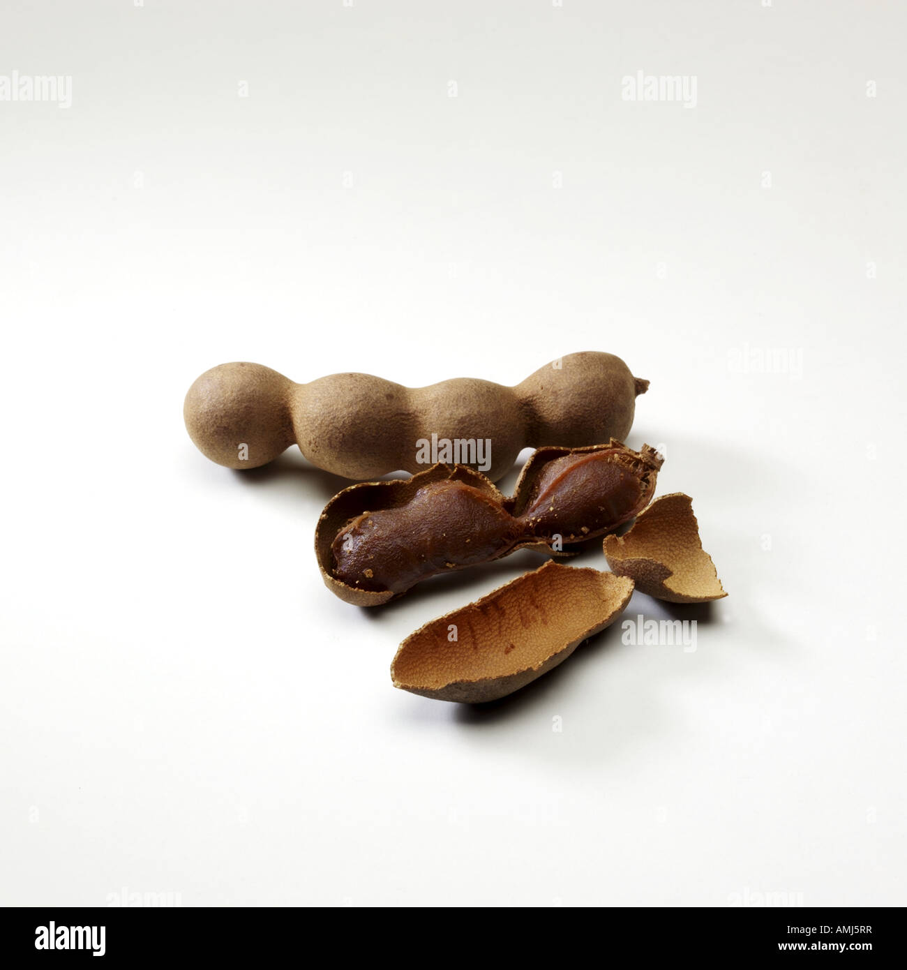Tamarind tree fruit Stock Photo - Alamy