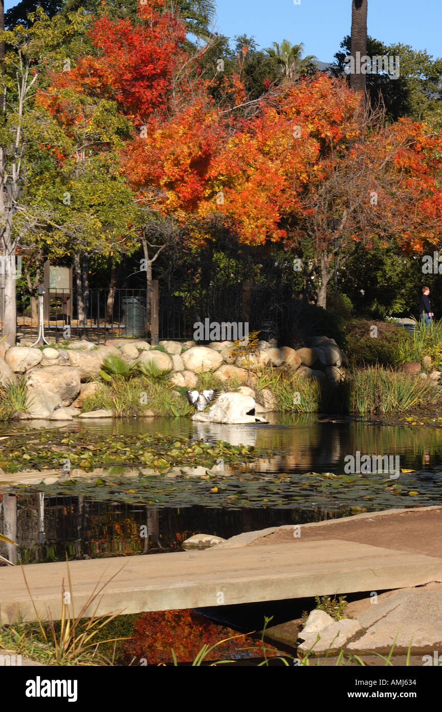 Alice keck hi-res stock photography and images - Alamy