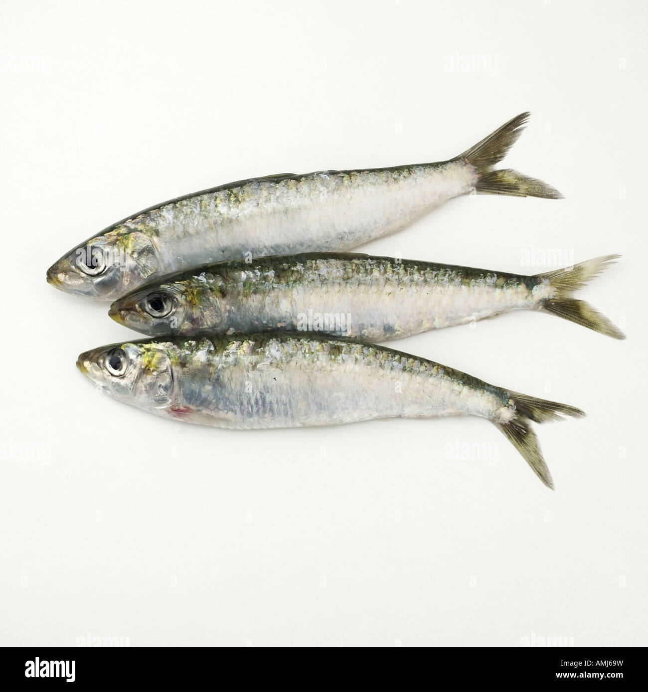 Still life with herrings hi-res stock photography and images - Alamy