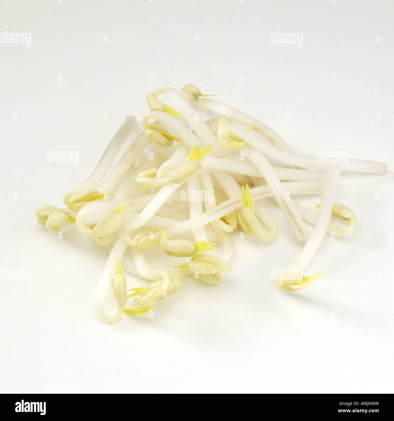 Soyabean sprouts hi-res stock photography and images - Alamy