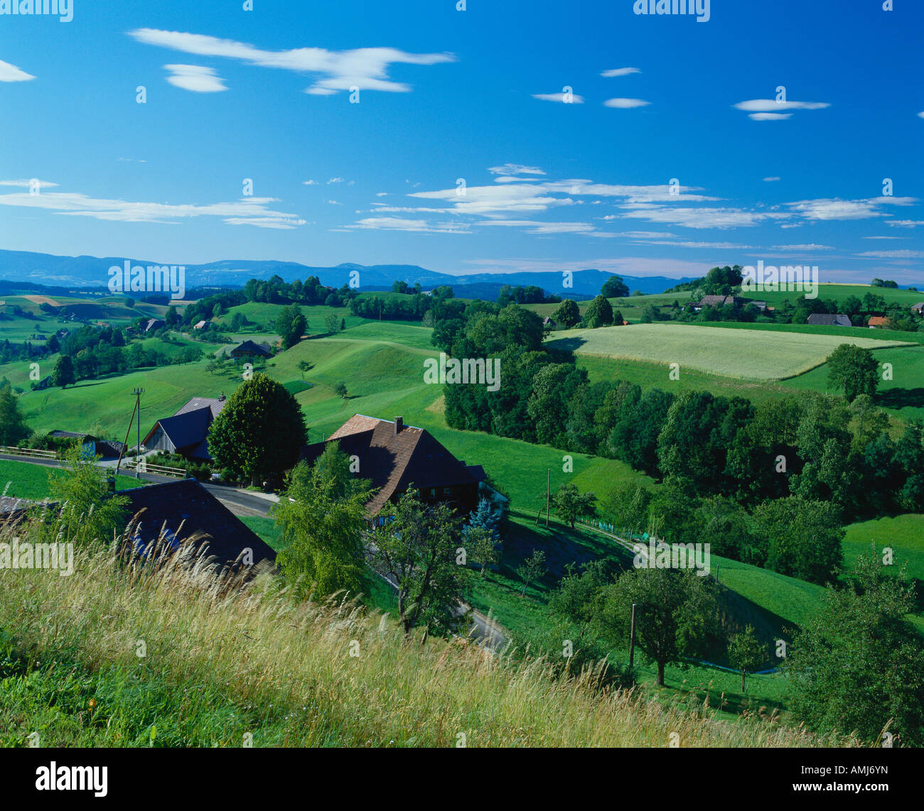 Eriswil High Resolution Stock Photography and Images - Alamy