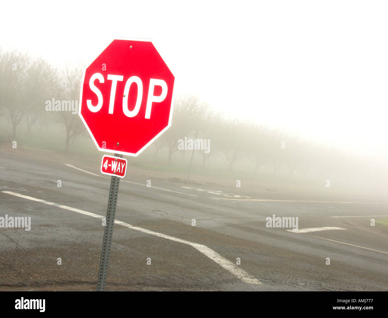Stop sign at intersection in fog Stock Photo - Alamy