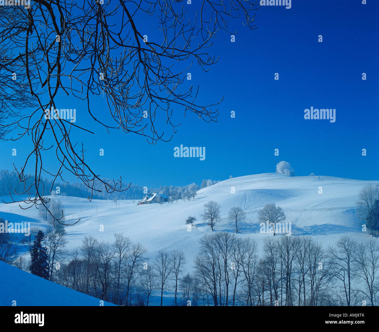 Eriswil High Resolution Stock Photography and Images - Alamy