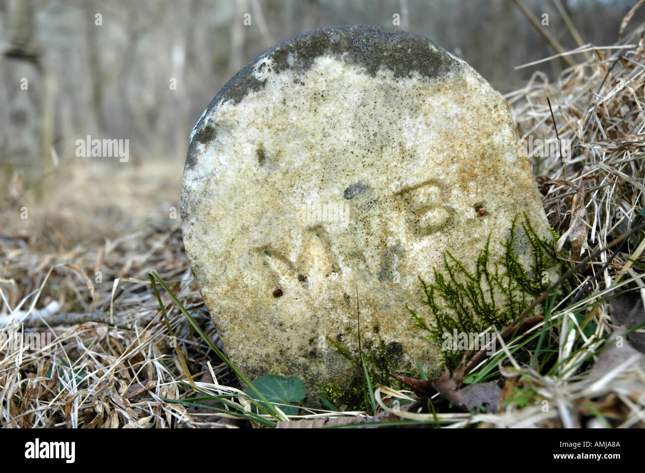 Limestone gravestone hi-res stock photography and images - Alamy