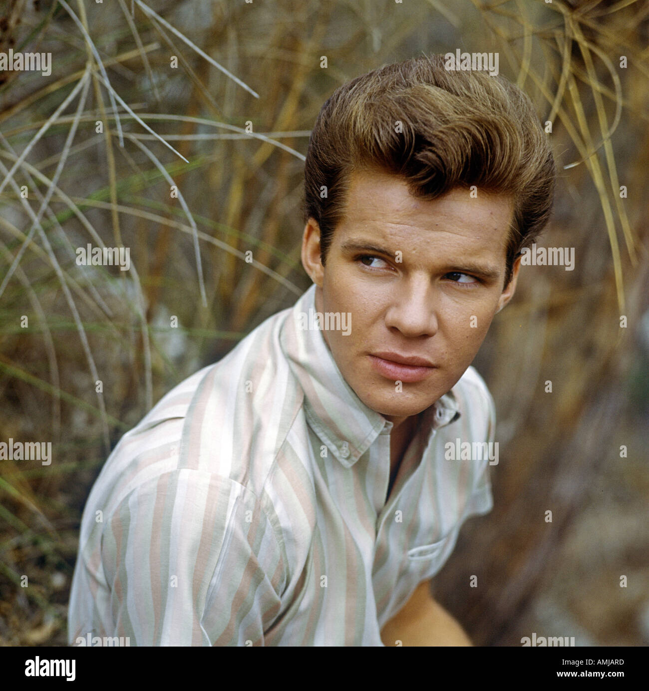 Bobby Vee in outdoor portrait 1959 61 Stock Photo - Alamy