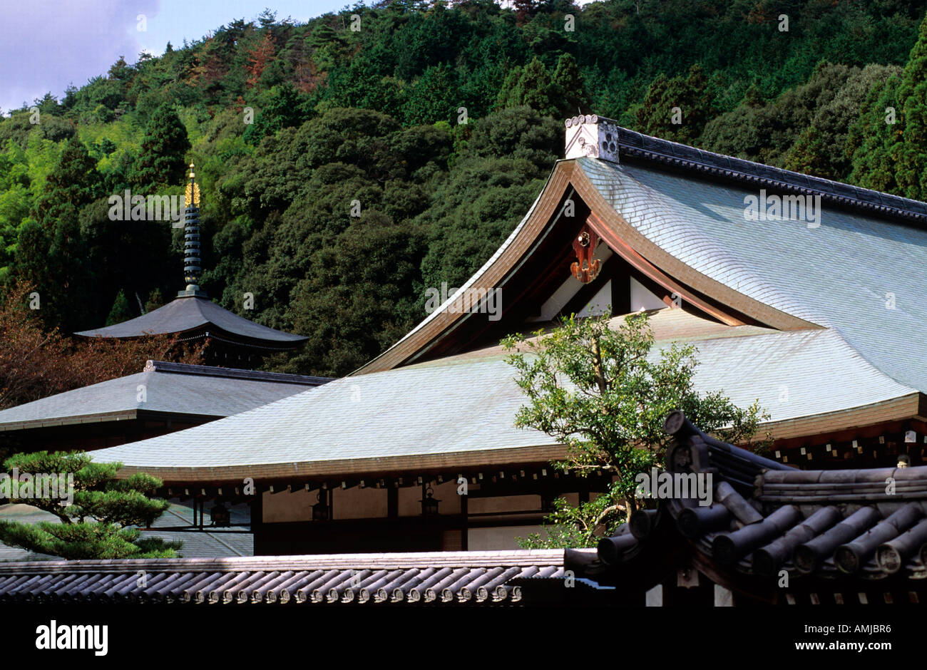 Japan, Kansai, Kyoto, Tempel im Moosgarten Koke-dera Stock Photo - Alamy