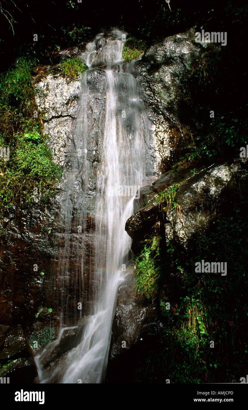 Japan, Kansai, Nara, Wasserfall bei Berg Koya (Koya-san Stock Photo - Alamy