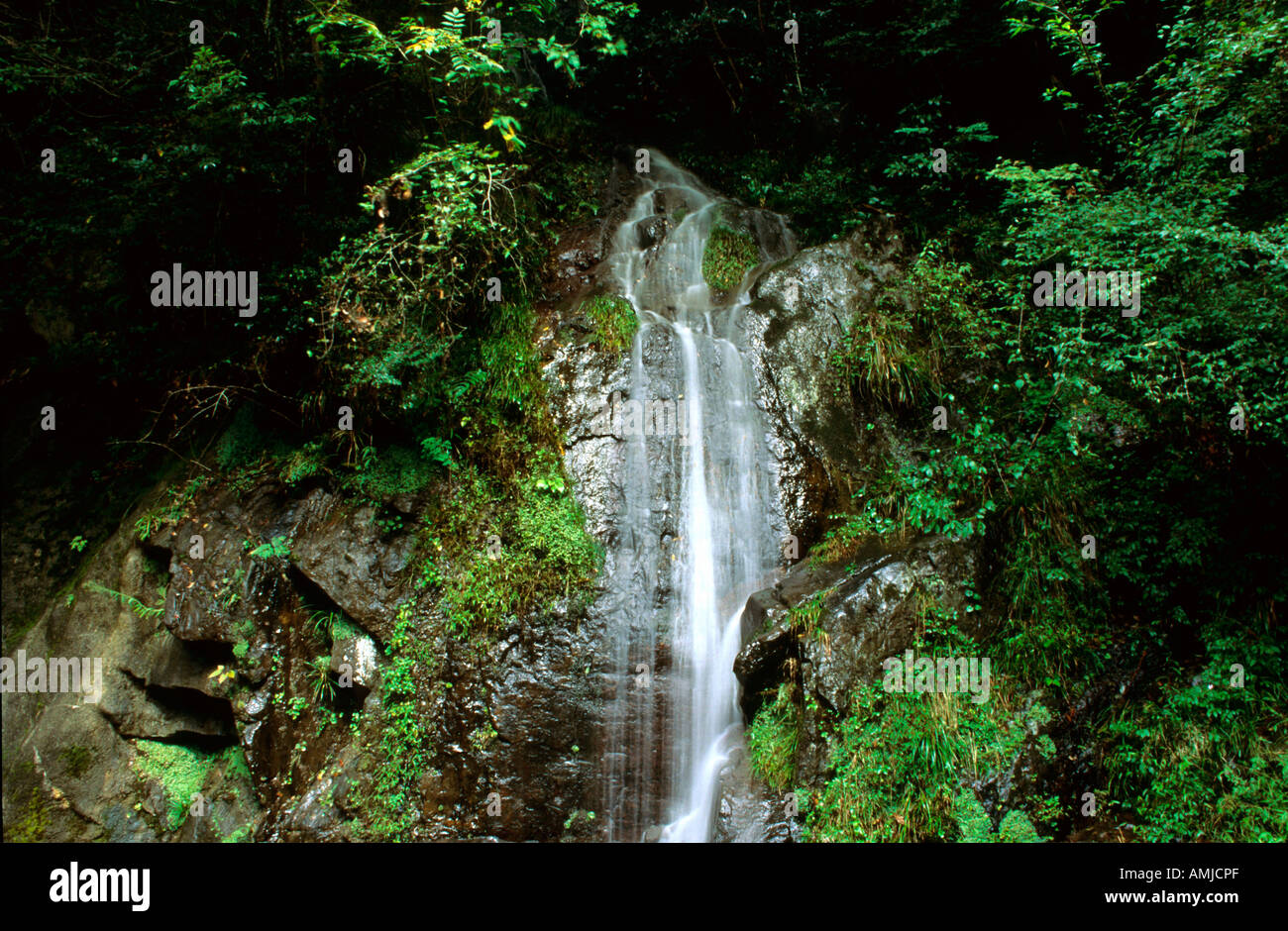 Japan, Kansai, Nara, Wasserfall bei Berg Koya (Koya-san Stock Photo - Alamy