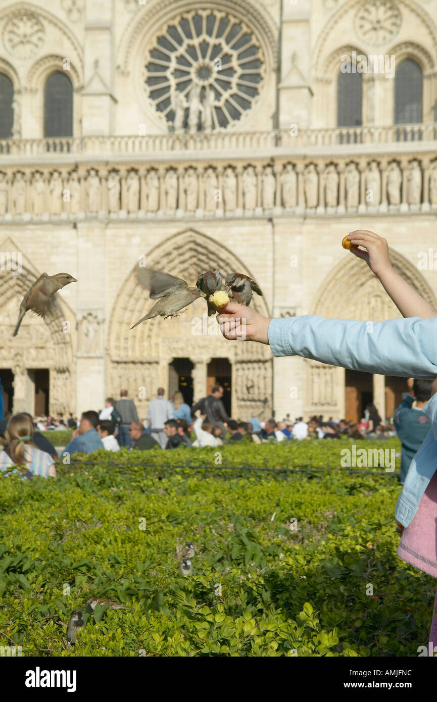 Girl playing with birds in the park next to Notre Dame Cathedral Paris ...