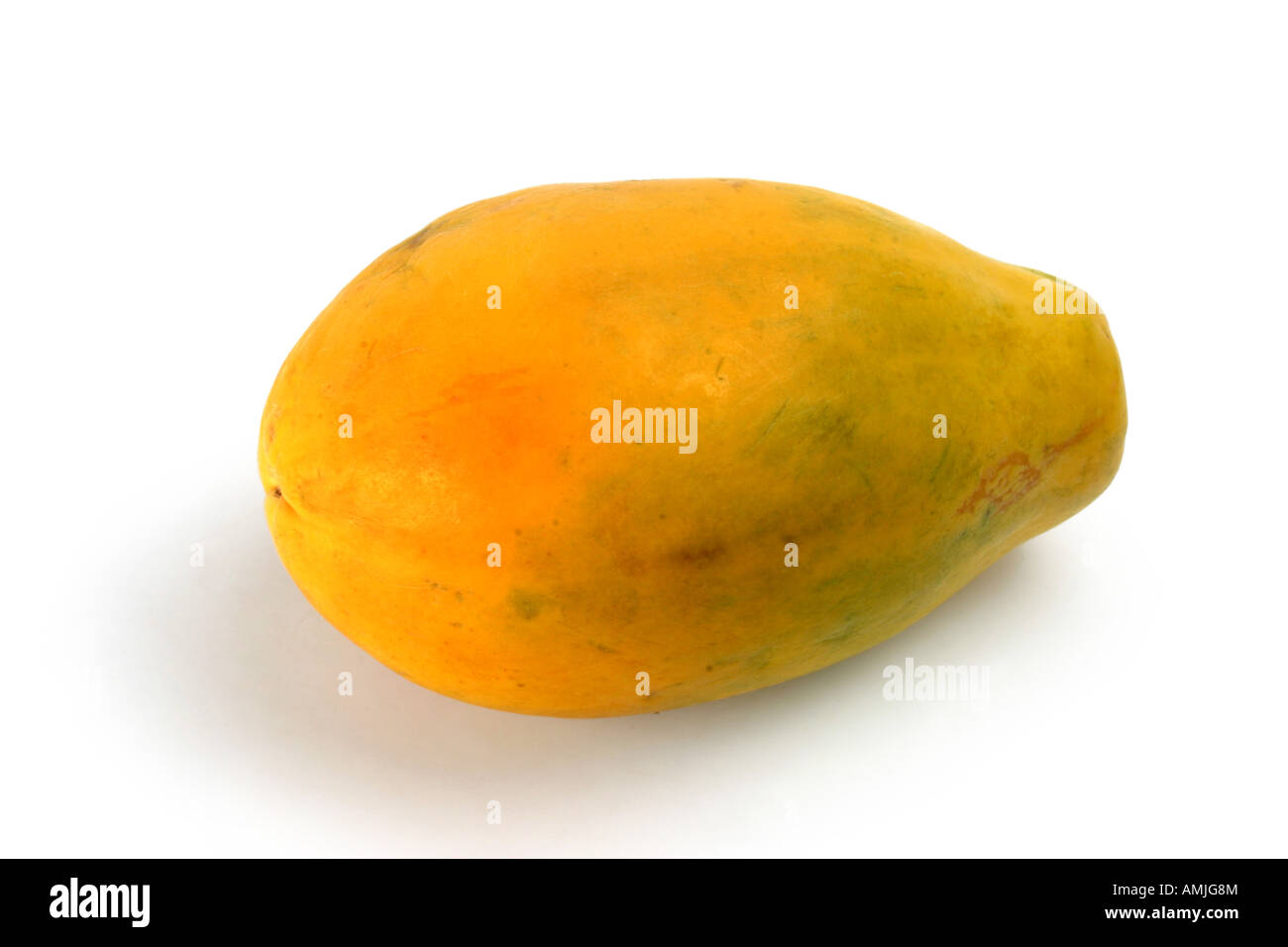 papaya papaw paw paw mamao tree melon Carica papaya origin Central ...