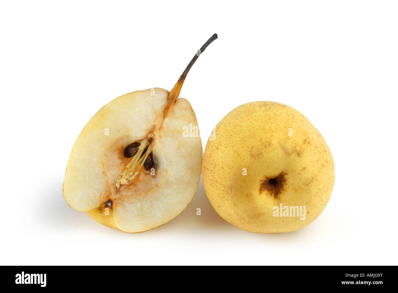 Shinseiki Asian pear Asian pear Pyrus pyrifolia distribution Southeast ...