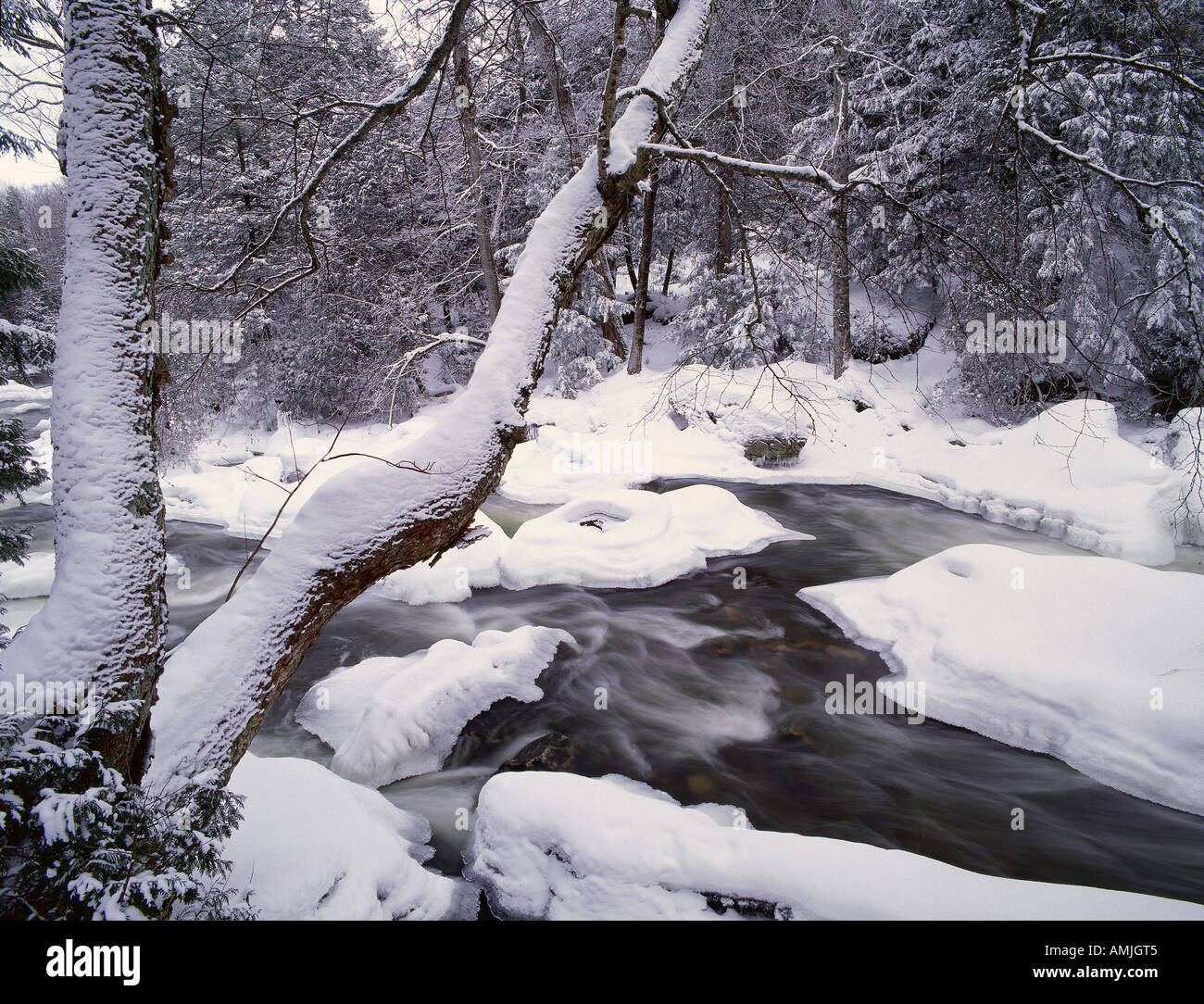 Sydenham river hi-res stock photography and images - Alamy