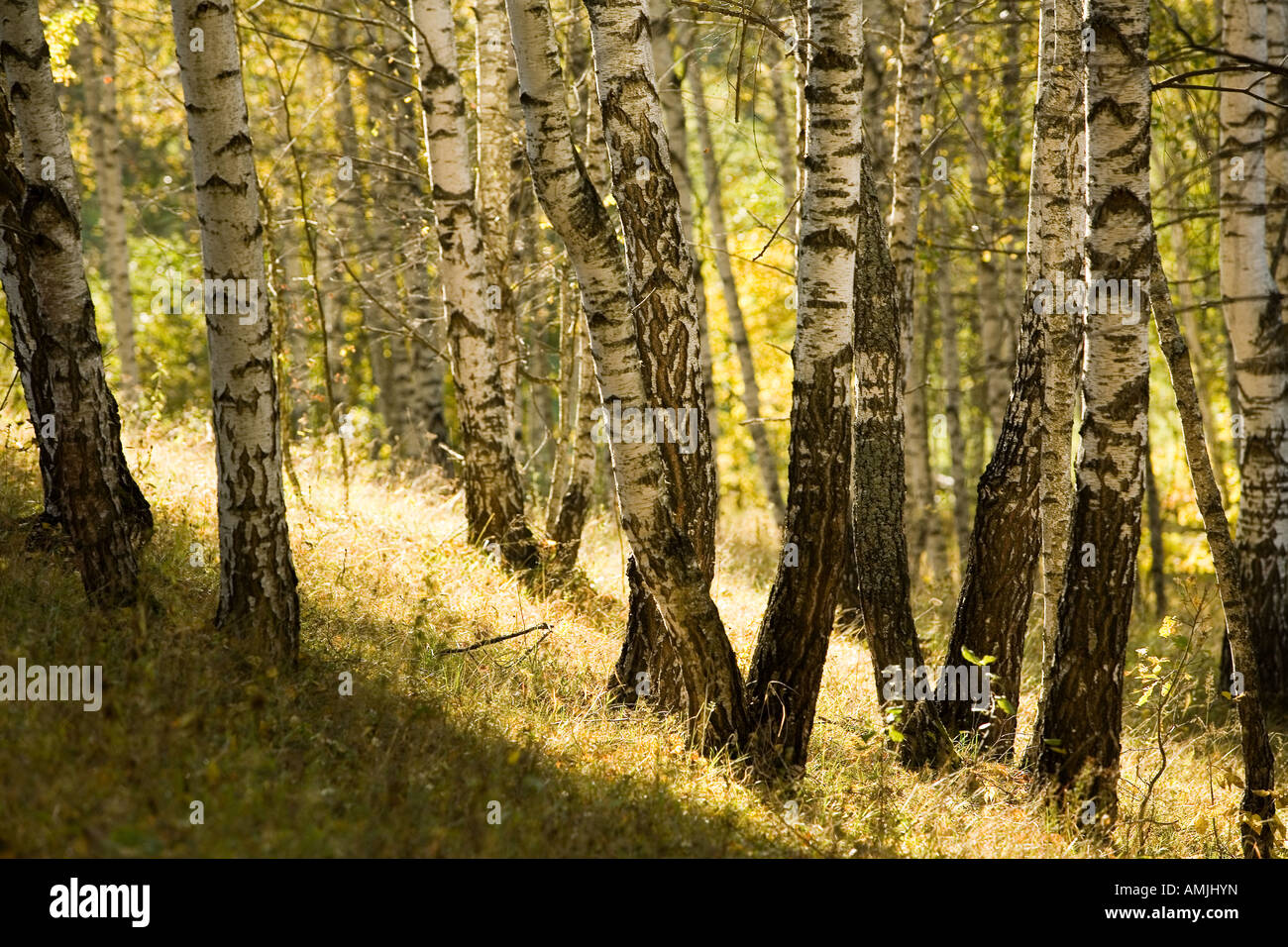 Lane margin hi-res stock photography and images - Alamy