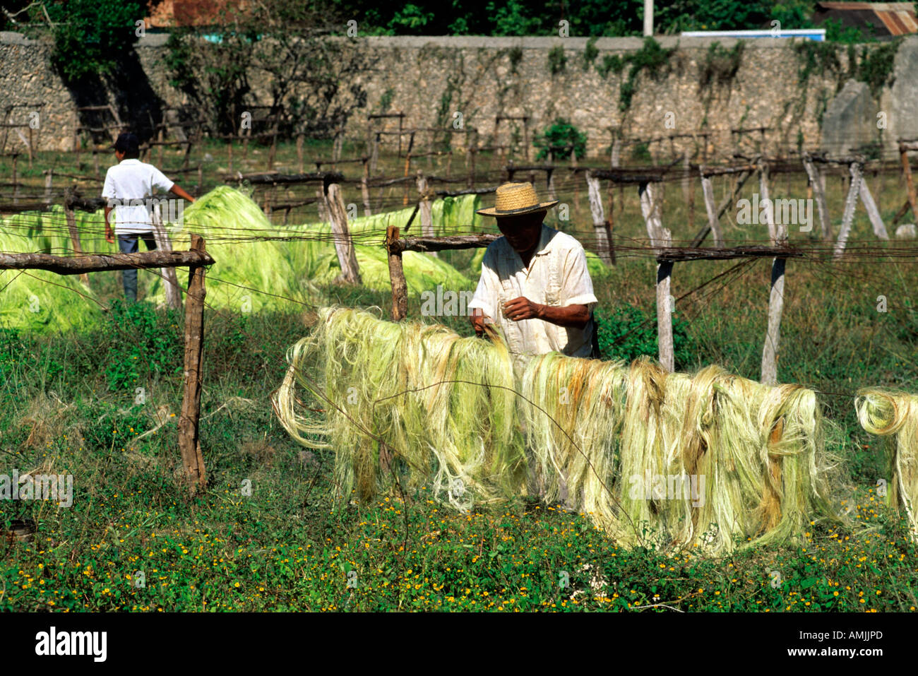 Mexiko, Yucatan, near Merida, worker in a sisal-factory Stock Photo - Alamy