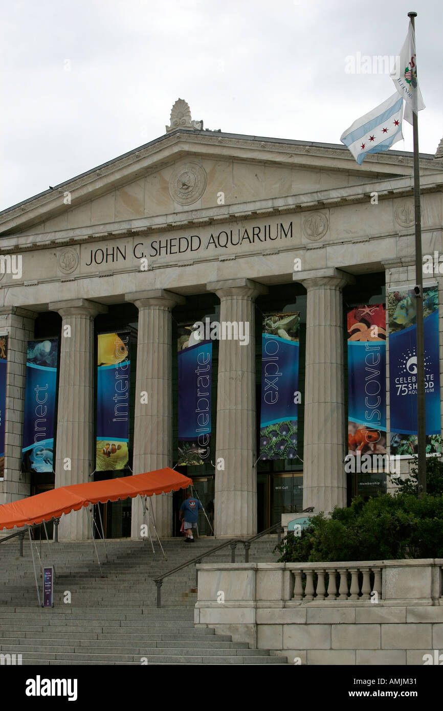 John G Shedd Aquarium museum Chicago Illinois USA Stock Photo - Alamy