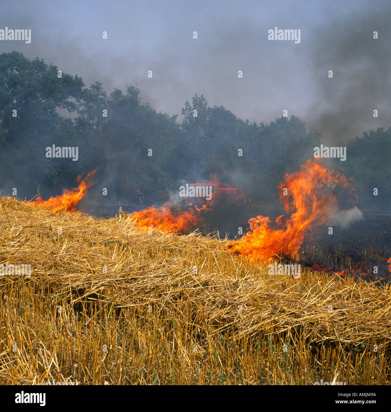 fire brigade at burning field after harvest Stock Photo - Alamy