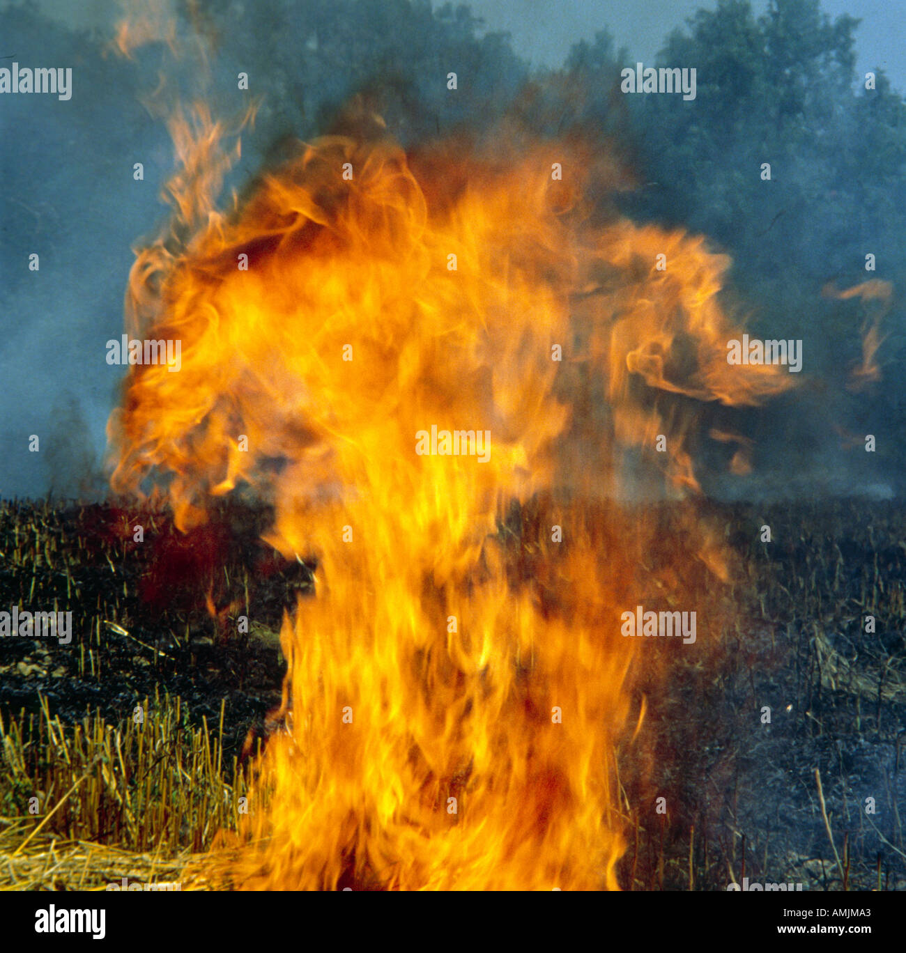 Burning grain field hi-res stock photography and images - Alamy