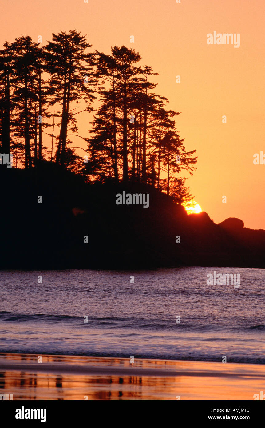 West Coast, British Columbia, Canada Stock Photo - Alamy