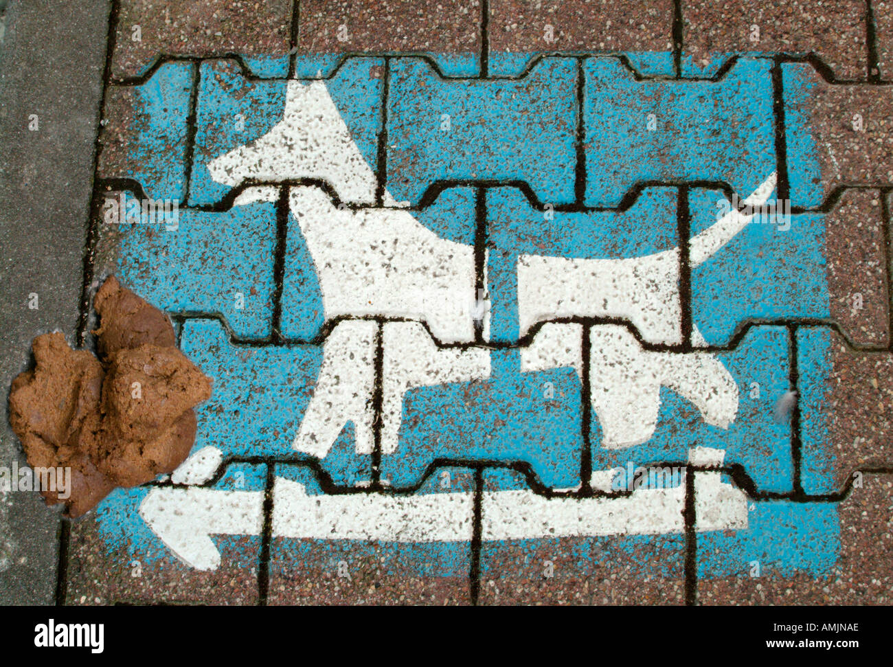 sign on pavement for dogs way area with dog dirt Stock Photo - Alamy