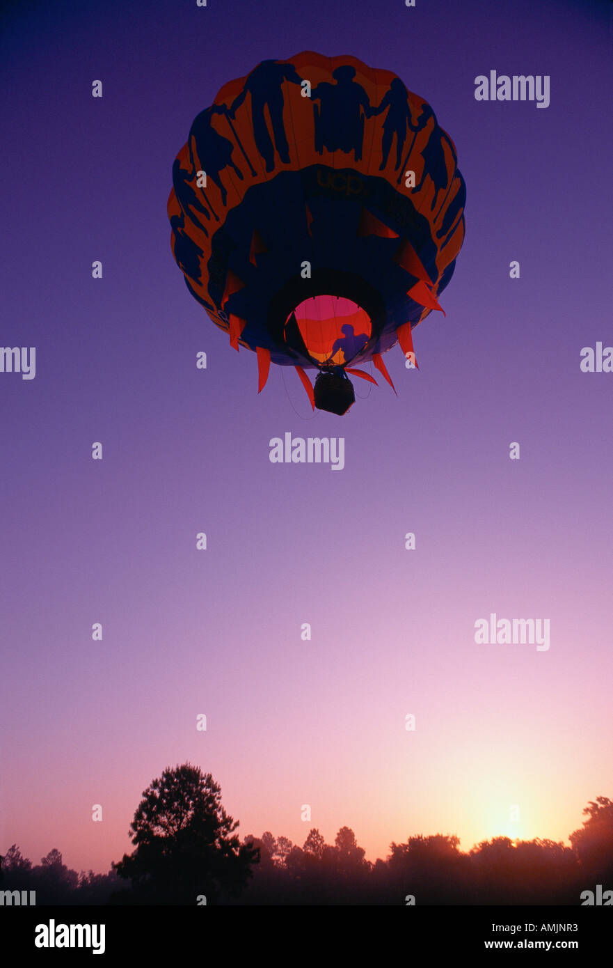 Hot air ballon florida hi-res stock photography and images - Alamy