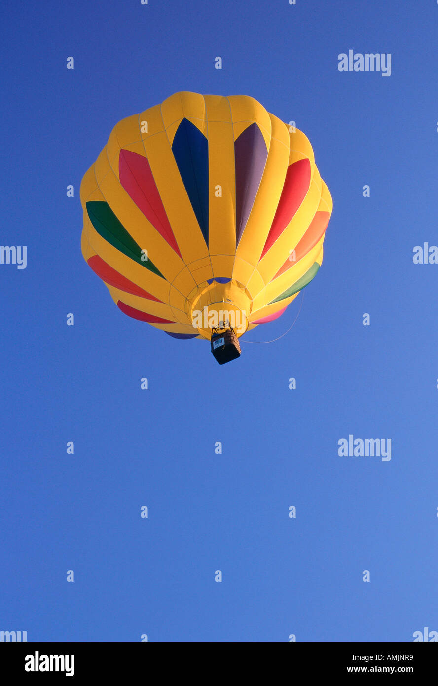 Hot Air Balloon, Tallahassee, Florida, USA Stock Photo - Alamy