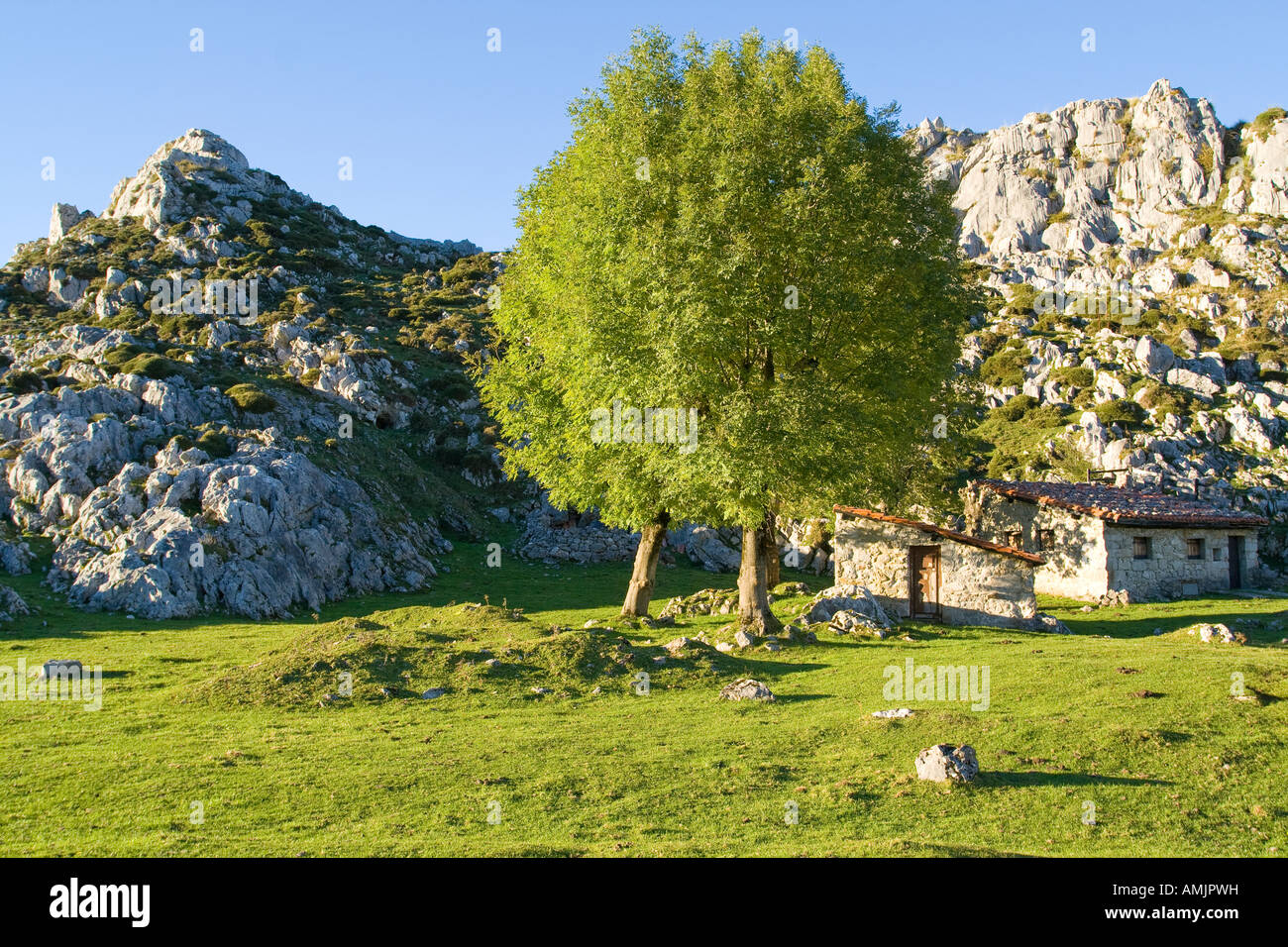 Beautiful autumnal mountain scenery near the lagos de covadonga in the ...