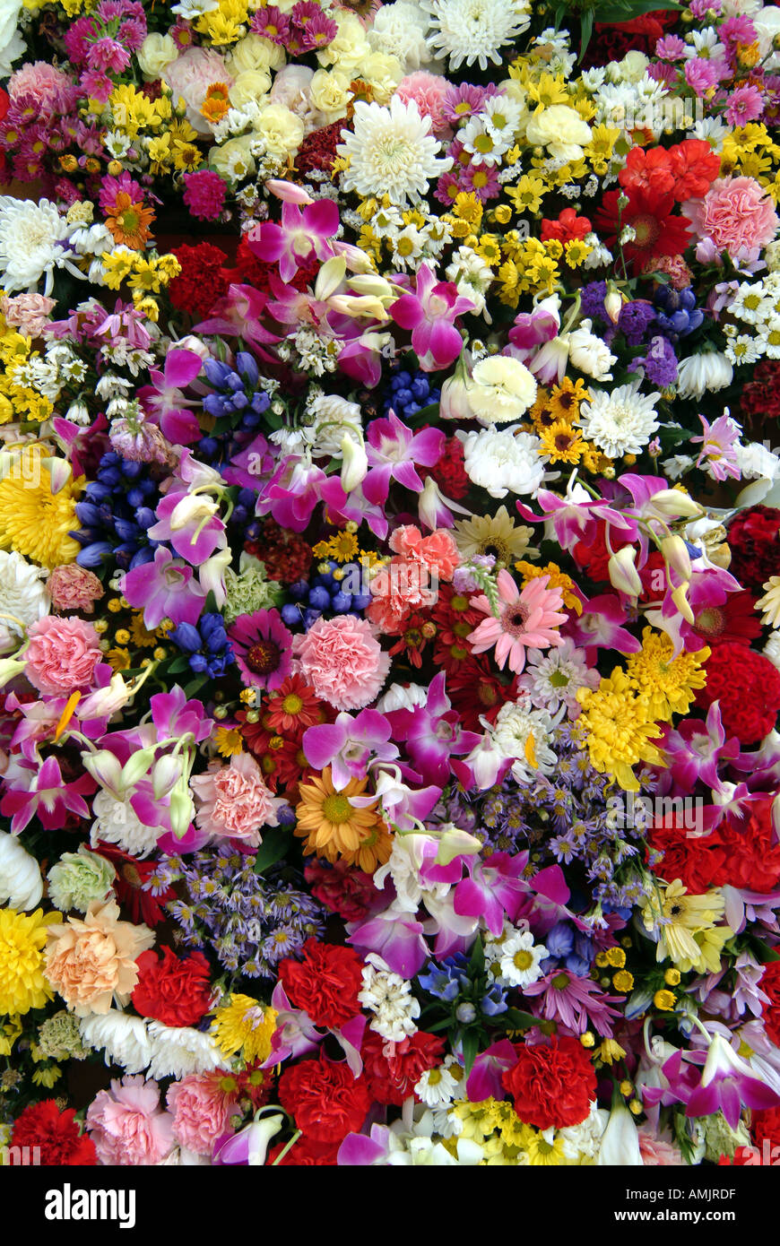 Nishi otani cemetery hi-res stock photography and images - Alamy