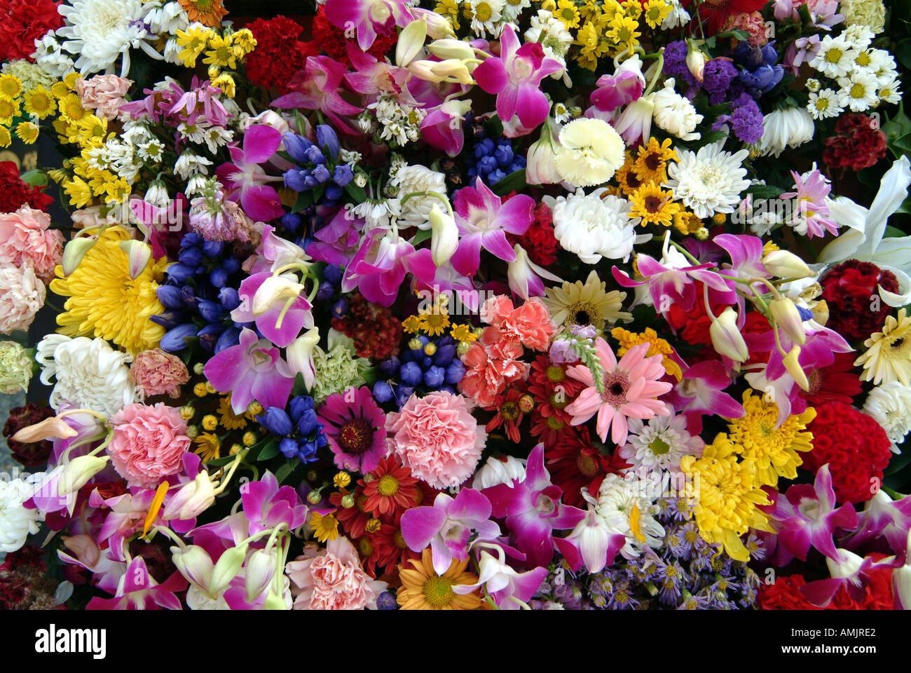 Nishi otani cemetery hi-res stock photography and images - Alamy