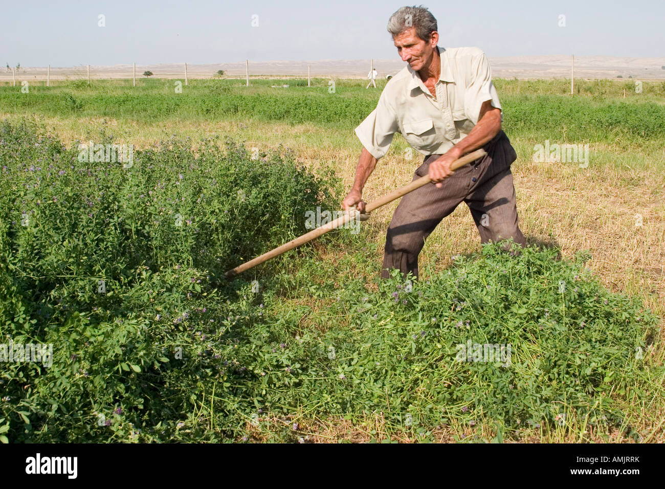 Goranboy, AZERBAIJAN 2005 Stock Photo - Alamy