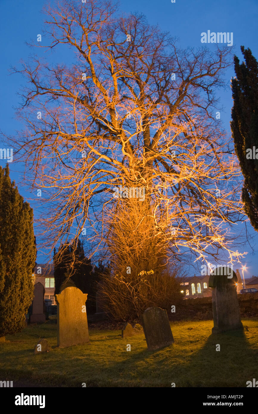 Tree in Churchyard at Night Stock Photo - Alamy
