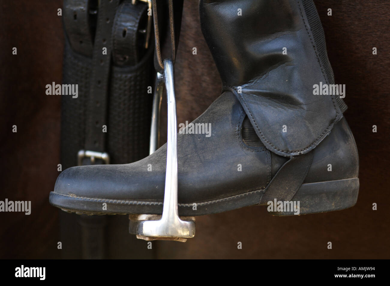 With my foot in the stirrup hi-res stock photography and images - Alamy