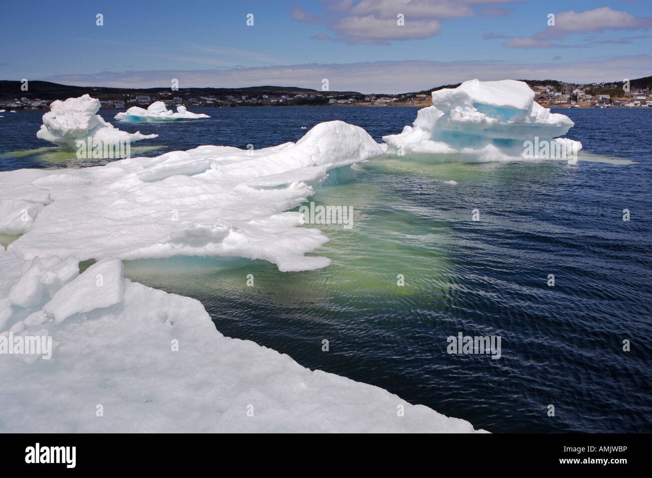 Pack Ice in the St Anthony Harbour, St Anthony, Northern Peninsula ...