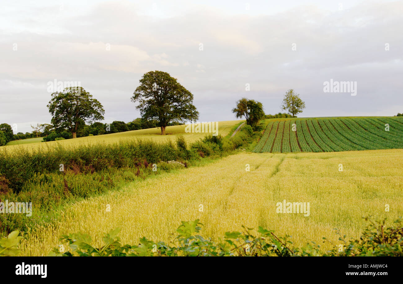 Countryside county armagh hi-res stock photography and images - Alamy